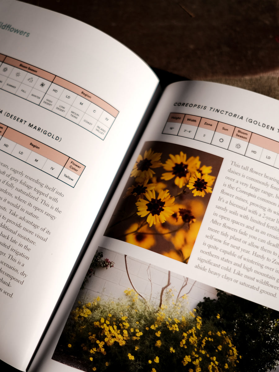 The Colorful Dry Garden by Maureen Gilmer – Windmill City Super #1